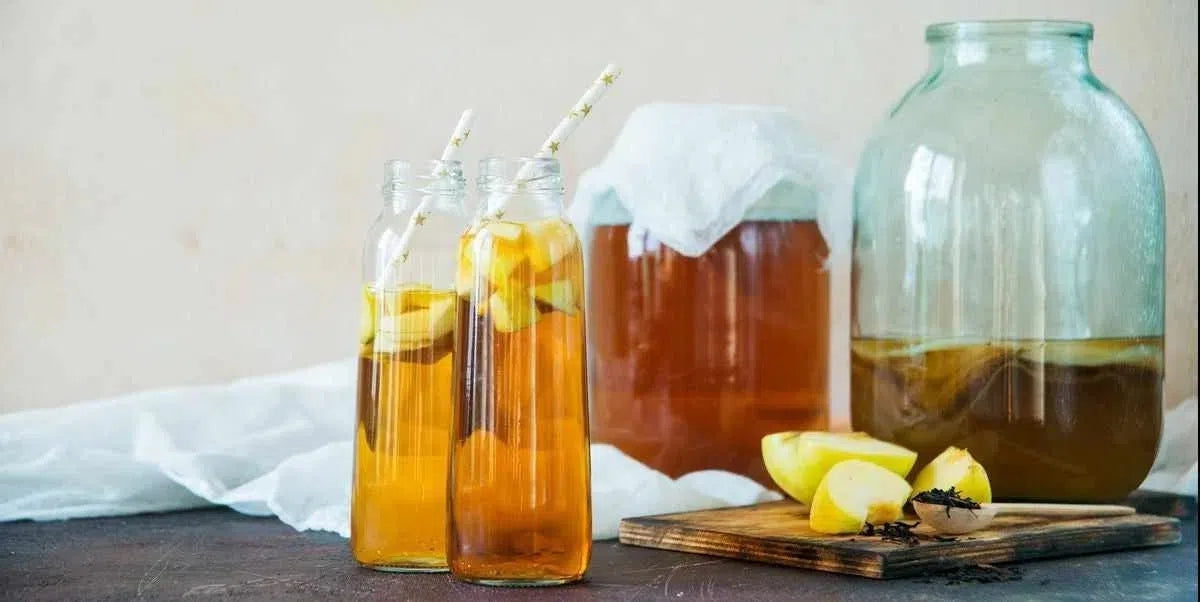 ️ What Is Kombucha? Definition – Install Beer